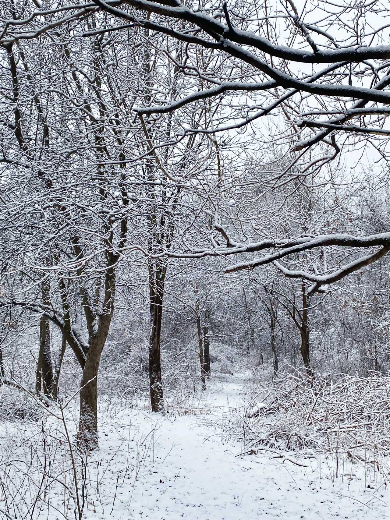 Checking out While Eating: 13 Suggested Books concerning